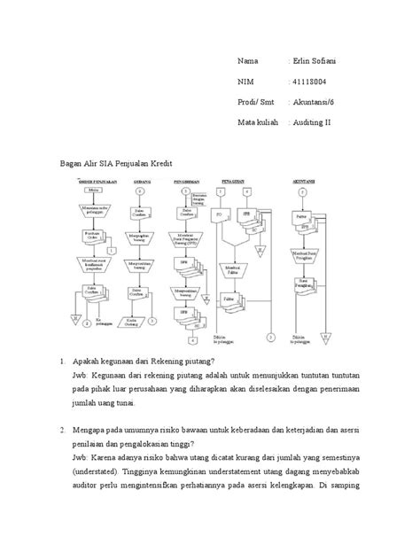 Auditing Ii Erlin Sofiani 41118004 Pdf
