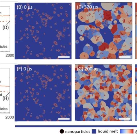 Time Evolution Of Grain Microstructure For Random And Clustered