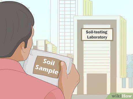 How To Improve Soil With Pictures WikiHow Life