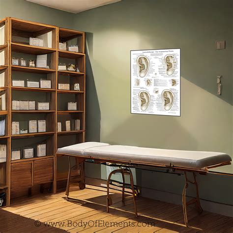 European System Of Auriculotherapy Poster Body Of Elements