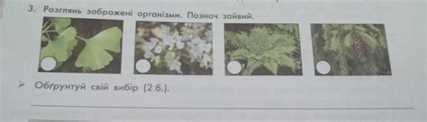 3 Розглянь зображені організми Познач зайвий Обгрунтуй свій вибiр 2