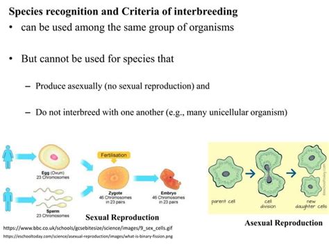 32 Classification Aims And Principles Biology Class 9 Fbise