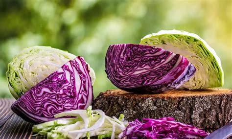 How Long Does Cabbage Last In The Fridge Top Food Storage Reviews