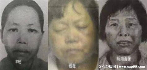 梅姨是否真实存在，的确真实存在但并未被抓捕归案 — 久久经验网