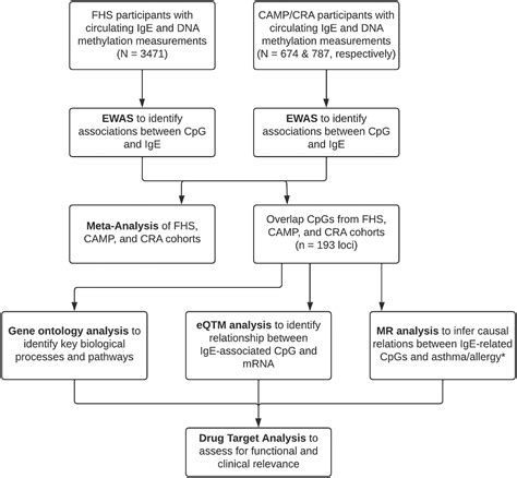 Epigenome Wide Dna Methylation Association Study Of Circulating Ige