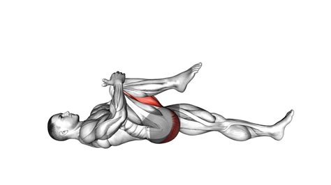 Knee To Chest Stretch Video Guide And Tips