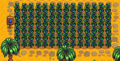 Top Stardew Valley Most Profitable Crops Ranked Gamers Decide