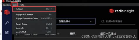 Redis Insight 版本 232 翻译中文redisinsight怎么设置中文 Csdn博客