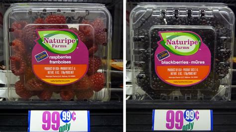 The 99 Cent Chef 99 99 Organic