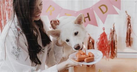 개 생일 파티 행복한 젊은 여성과 배고픈 개는 분홍색 화환을 배경으로 소시지 케이크와 촛불로 생일을 축하합니다 사랑스러운