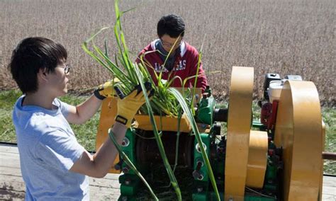 Biodiesel Created From Sugarcane