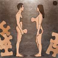 Post 5583691 Arashayesteh Inanimate Puzzle