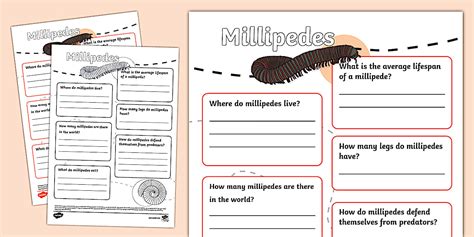 Millipede Fact File Template Teacher Made Twinkl