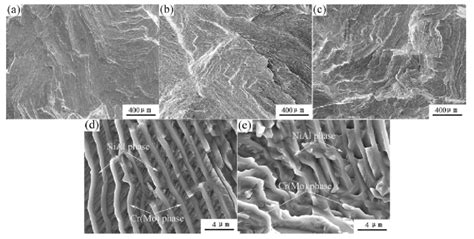 Fracture Morphologies Of Directionally Solidified Nial Crmo Alloy Download Scientific Diagram
