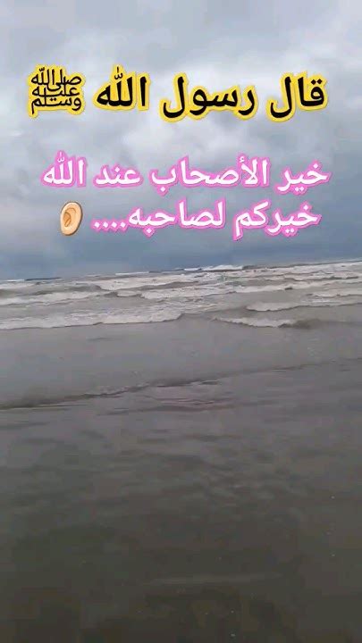 قال رسول الله ﷺ خير الأصحاب عند الله خيركهم لصاحبه ️☝️👀🦻 صلواعلى