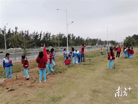 博贺镇新沟村：以实际行动支持家乡绿化美化乡贤活动认捐