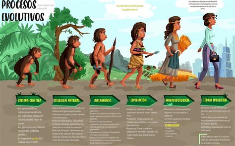 Procesos Evolutivos Alejandra Mora Duran Udocz