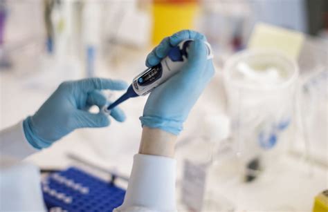 Oms Afirma Que “quizás Nunca Haya Una Solución” Para El Coronavirus