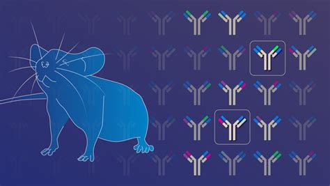 Next Generation Transgenic Mice At The Jackson Laboratory Kamesh