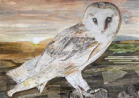 Signed Limited Edition Barn Owl Collage Giclée Prints The Barn Owl Trust
