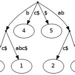 Suffix Trees