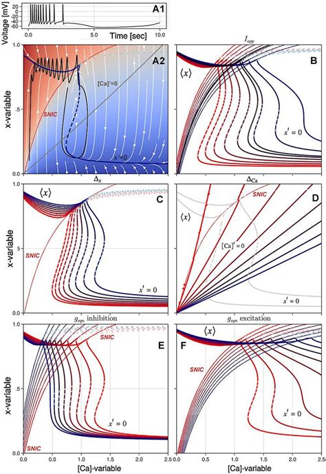 Frontiers Pairing Cellular And Synaptic Dynamics Into Building Blocks Of Rhythmic Neural