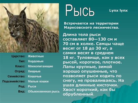 Животные и растения занесенные в Красную книгу Саратовской области