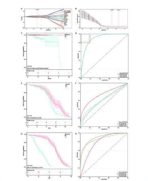 Development And Validation Of Agrs In Tcga Prad Cohort A B The Download Scientific Diagram