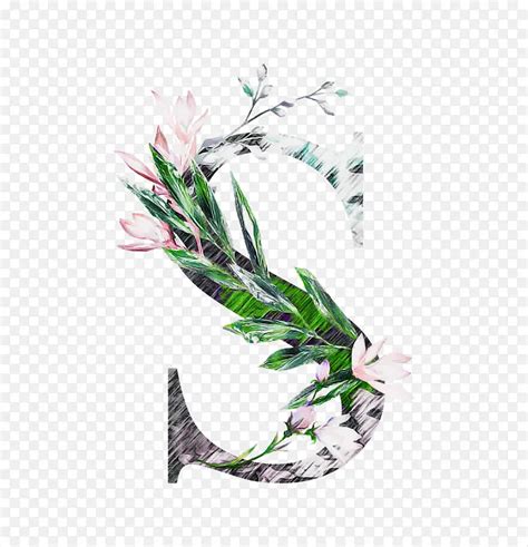 花 植物 红掌PNG图片素材下载 图片编号6961840 PNG素材网