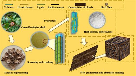 Polymer Composites Vol 45 No 16