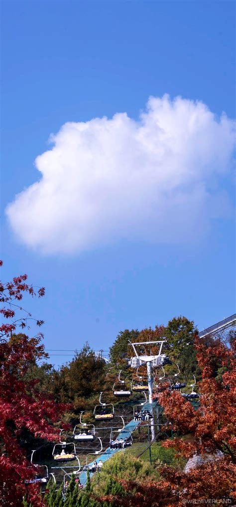 가을 감성🍂 에버랜드 가을 배경화면 콜렉션🎡