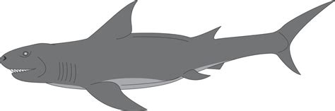 Physogaleus Naturerules1 Wiki Fandom