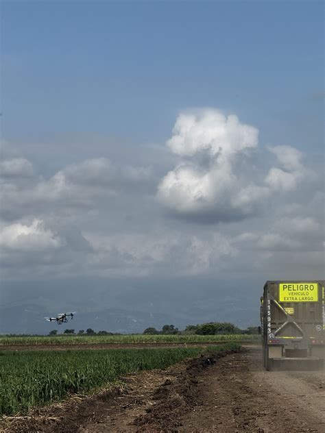 mauricio quevedo amaya on linkedin sugarcane physiology agronomy
