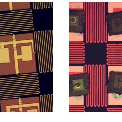 General Concept Of The Stretchable Silicon Design Rigid Silicon Download Scientific Diagram