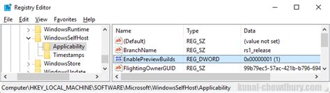 Workaround To Enable The Windows 10 Insiders Preview Build Kunal Chowdhury