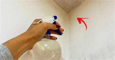 Cómo quitar las manchas de moho y condensación de las paredes del baño