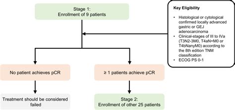 Efficacy And Safety Of Sintilimab In Combination With Concurrent