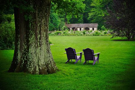 Two Chairs Under Quercus Tree Tree Trunk In This Moment Plants