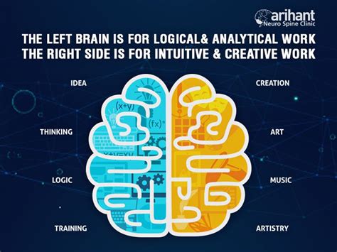 The Left Side Brain And The Right Side Brain Is For Logical And Analytical