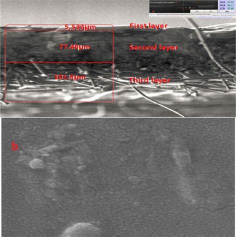 A Contact Angle Of Pdms Membrane And Sem Image Of Pdms Membrane Cross