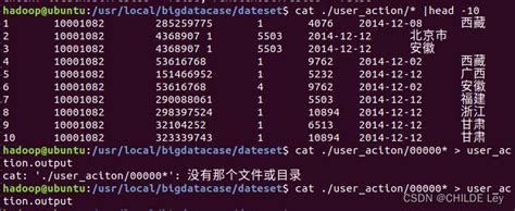 hadoop实战（综合实验） hadoop项目实战 csdn博客