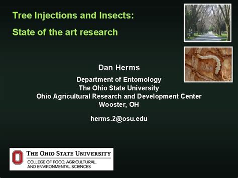 Tree Injections And Insects State Of The Art