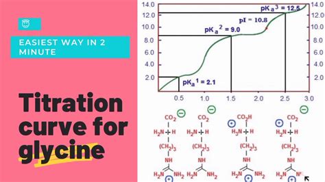 What Titration Curve Of Glycine At Charlie Garon Blog