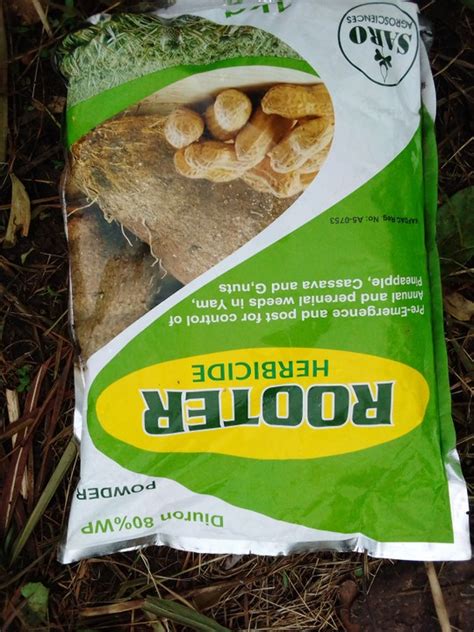 My Cassava Farming Dairy As A Total Beginner Agriculture Nigeria