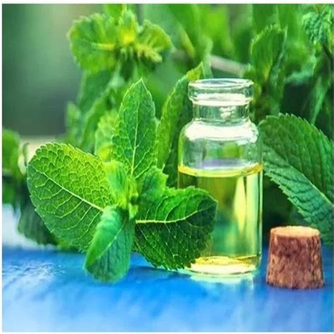 Mentha Piperita Oil Purity 100 1 Kg At ₹ 2840kg In Ahmedabad Id