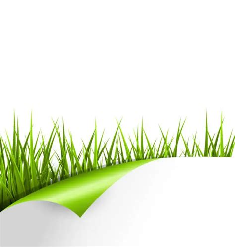 Free Green Grass Paper Sheet Vector Images And Graphics Freeimages