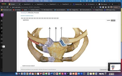 Quiz Diagram 2 Diagram Quizlet