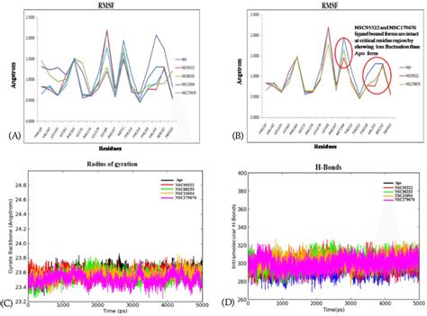 A The Root Mean Square Fluctuation Rmsf Fluctuations Of Apo Against