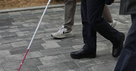 흰 지팡이의 날 아시나요 서울 시각장애인 재활 복지대회