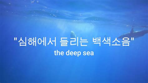 심해에서 들리는 백색소음 깊은 바다의 품으로 Youtube